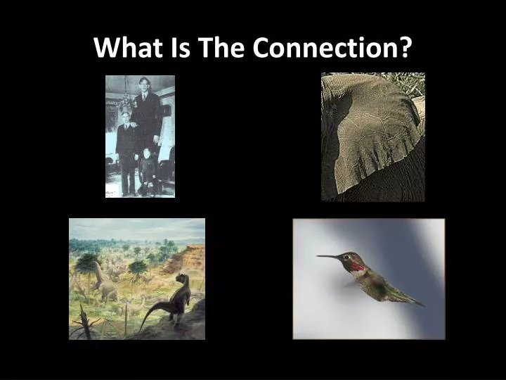 PPT - What Is The Connection? PowerPoint Presentation, free download ...