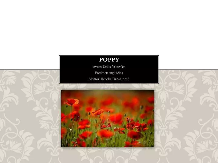 PPT - Poppy PowerPoint Presentation, free download - ID:2152506