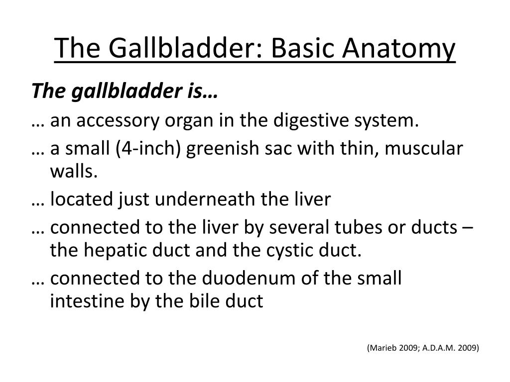 PPT - Food and Human Health Issues: GALLSTONES PowerPoint Presentation ...