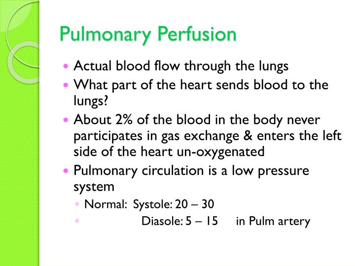 PPT - Respiratory Diseases PowerPoint Presentation - ID:2152833