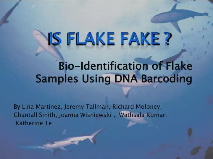 PPT - Bio-Identification of Flake Samples Using DNA Barcoding ...