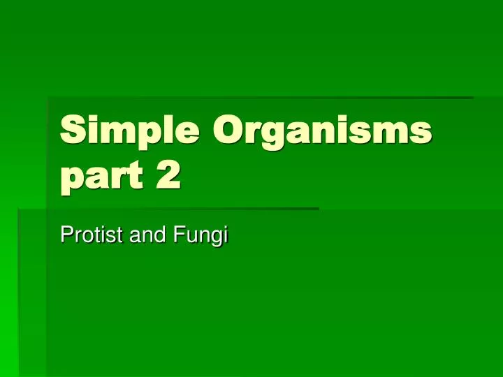 PPT - Simple Organisms part 2 PowerPoint Presentation, free download ...