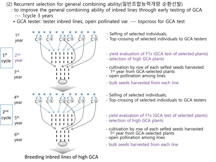 PPT - Ch. 12 Breeding methods for cross-pollinated crops PowerPoint ...