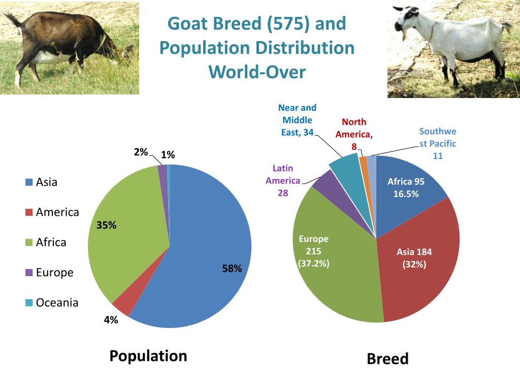 PPT - Goat Farming: A Viable Enterprise for Smallholders and Landless ...