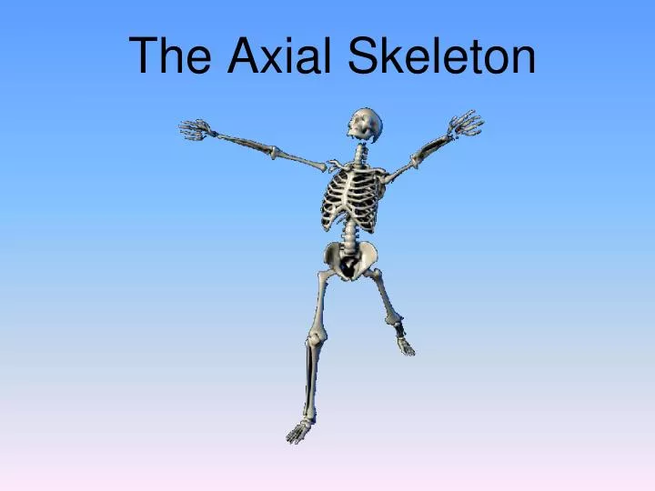 PPT - The Axial Skeleton PowerPoint Presentation, free download - ID ...