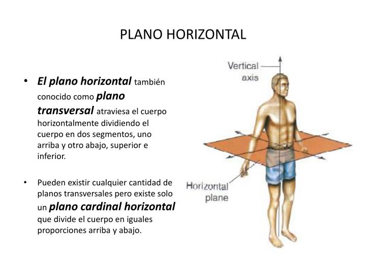 PPT - PLANOS Y EJES DEL MOVIMIENTO HUMANO PowerPoint Presentation - ID ...
