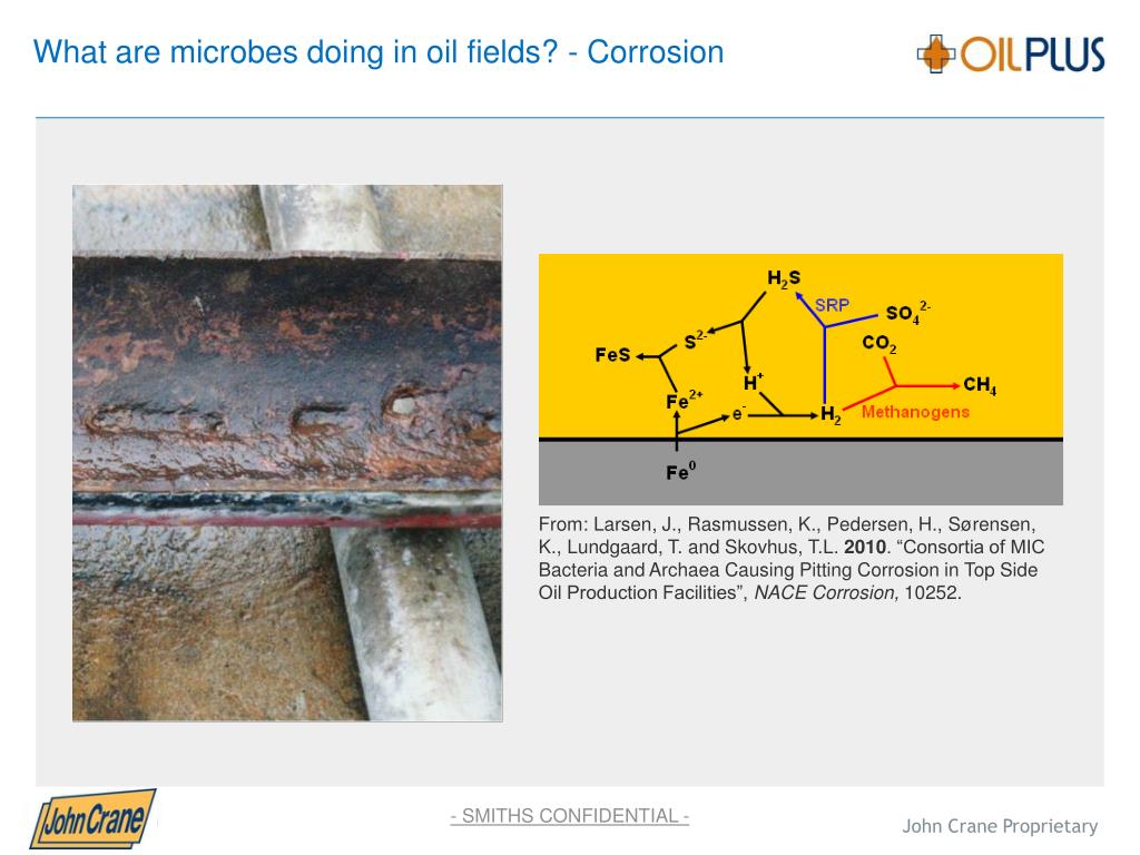 PPT - The Oil Field Microbiome – How Can M etagenomics H elp the Oil I ...