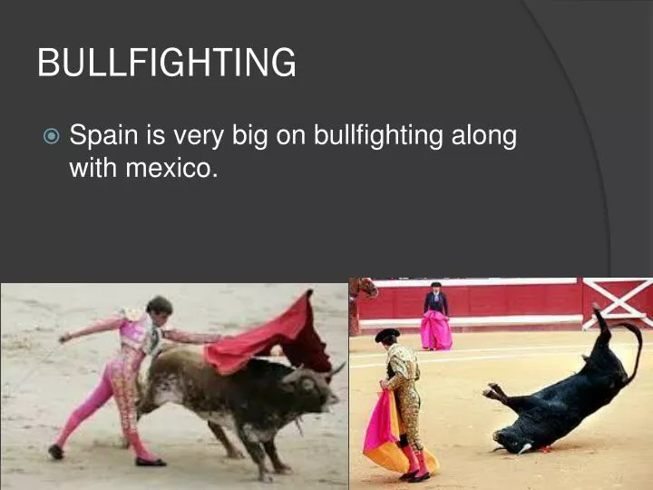 PPT - BULLFIGHTING PowerPoint Presentation, free download - ID:2154640