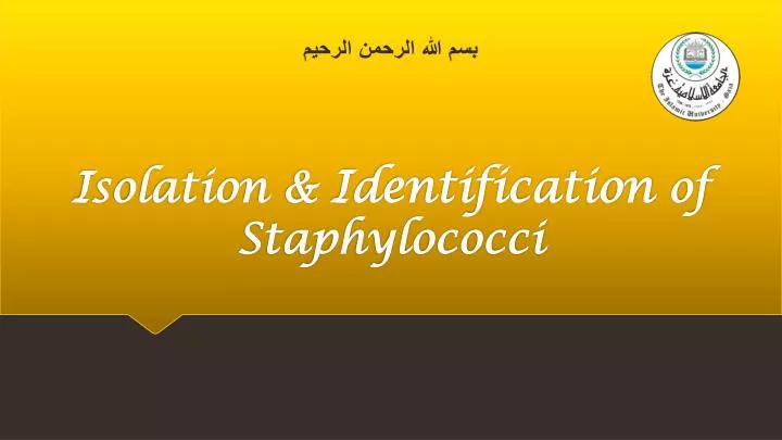 PPT - Isolation & Identification of Staphylococci PowerPoint ...