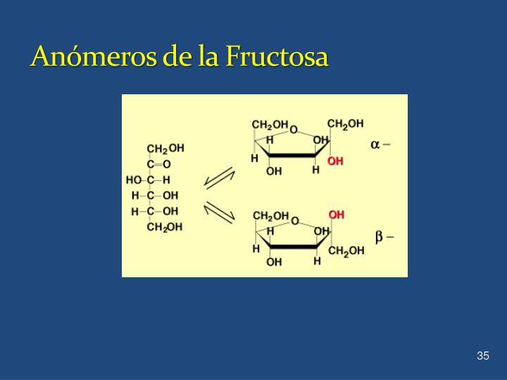 PPT - BIOMOLECULAS PowerPoint Presentation - ID:2155131