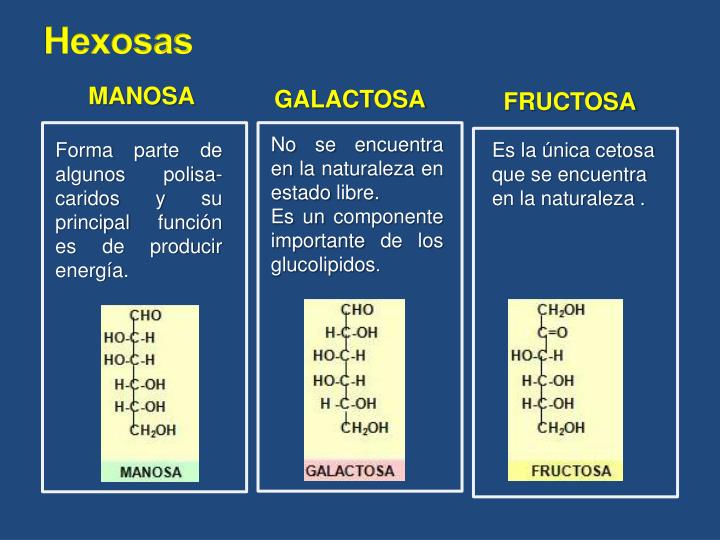 PPT - BIOMOLECULAS PowerPoint Presentation - ID:2155131