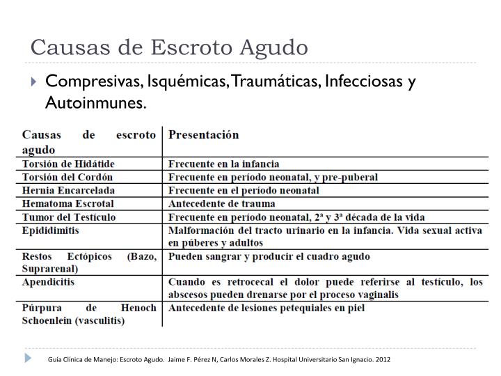 PPT - Síndrome Escrotal Agudo PowerPoint Presentation - ID:2155654