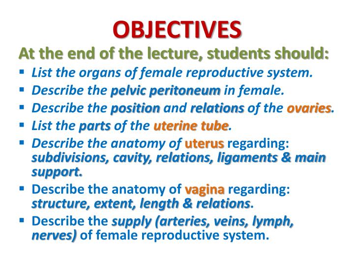 PPT - ANATOMY OF THE FEMALE REPRODUCTIVE SYSTEM PowerPoint Presentation ...