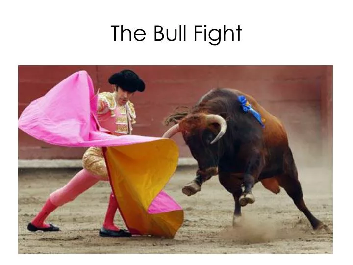 PPT - The Bull Fight PowerPoint Presentation, free download - ID:2156375