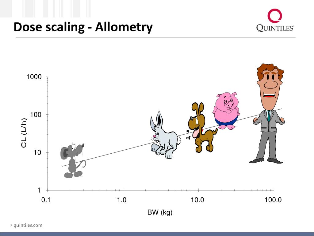 PPT - Drug Disposition and the Fate of Drugs PowerPoint Presentation ...