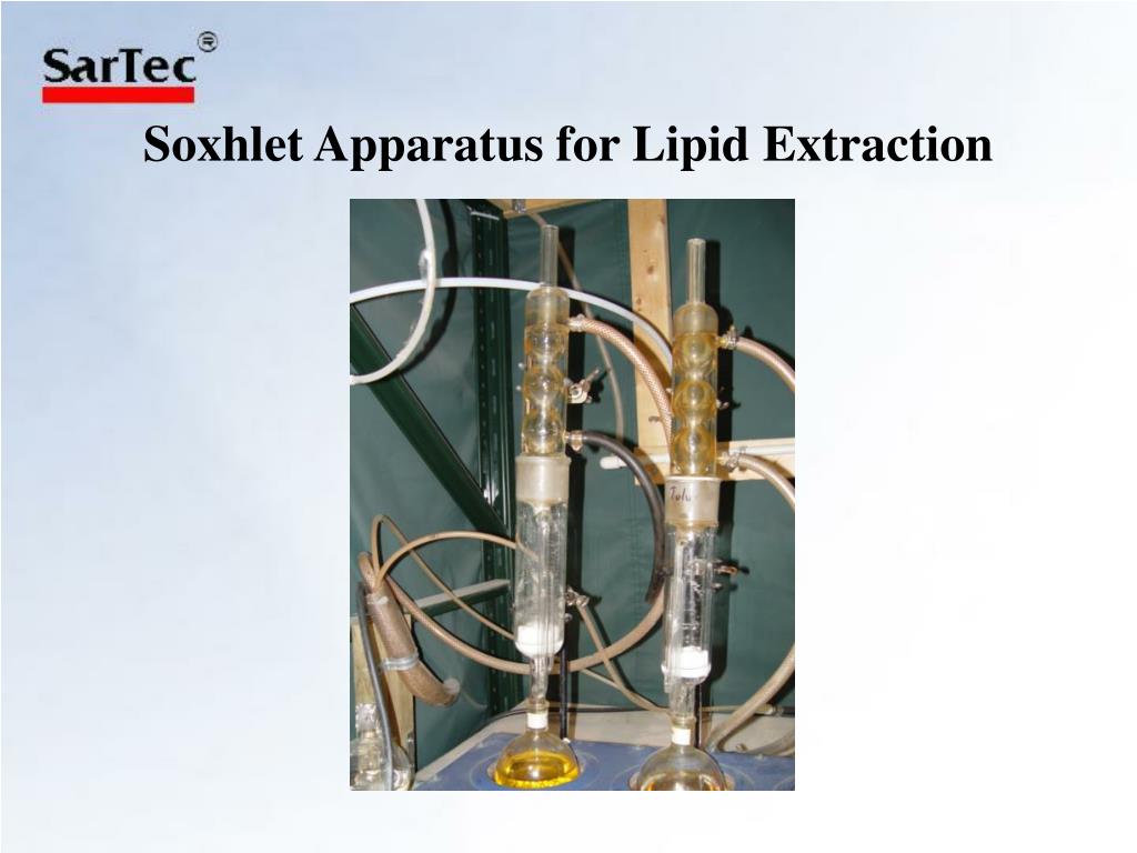 PPT - Flue Gas CO 2 Capture with Rapid Growth Algae to Produce Biodiesel and Other Renewable ...
