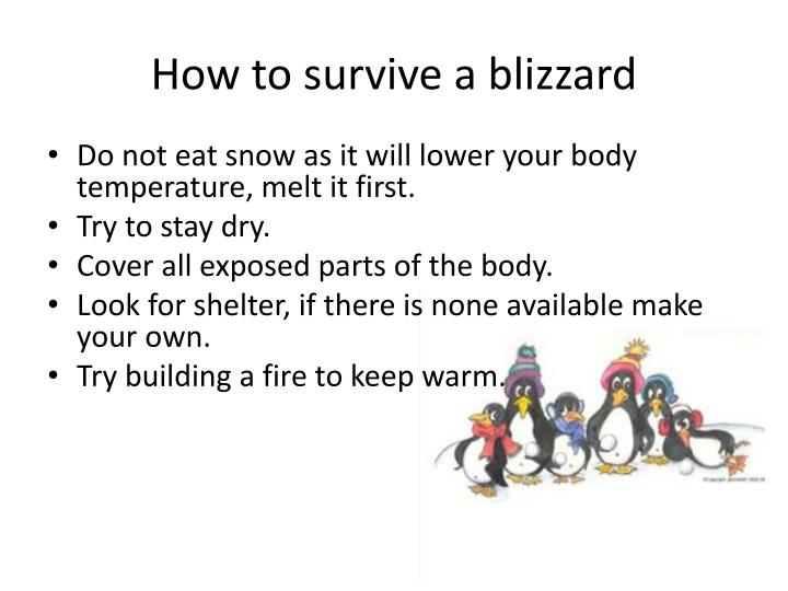 PPT - BLIZZARD PowerPoint Presentation - ID:2157776