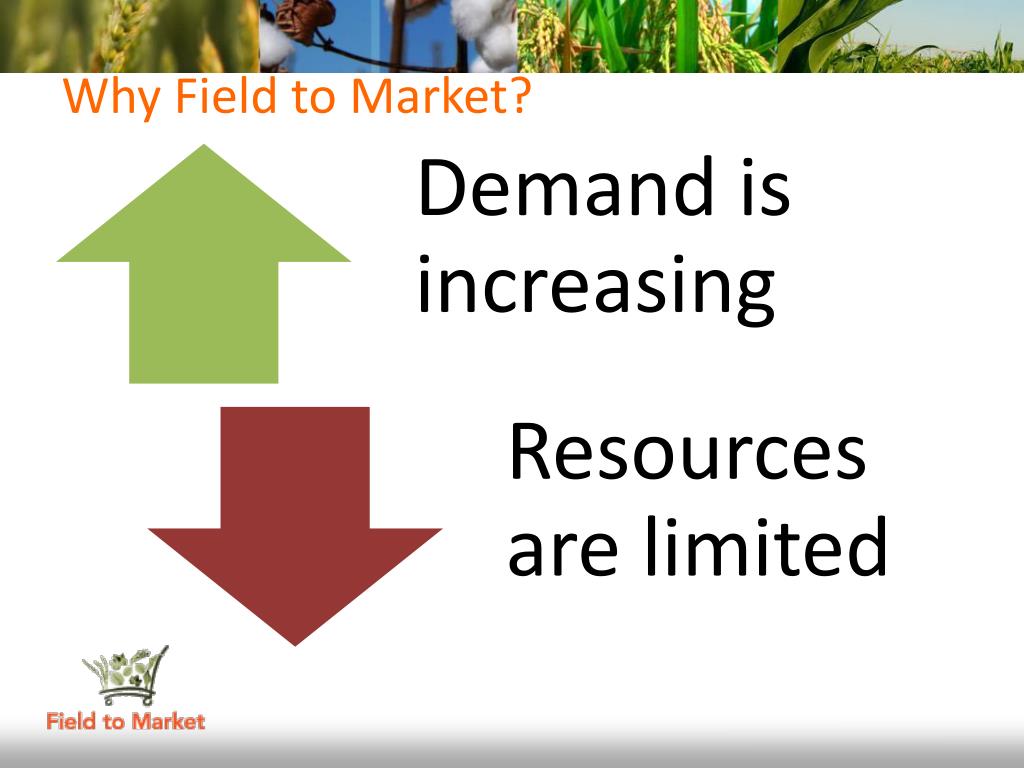 PPT - Field to Market The Keystone Alliance for Sustainable Agriculture ...