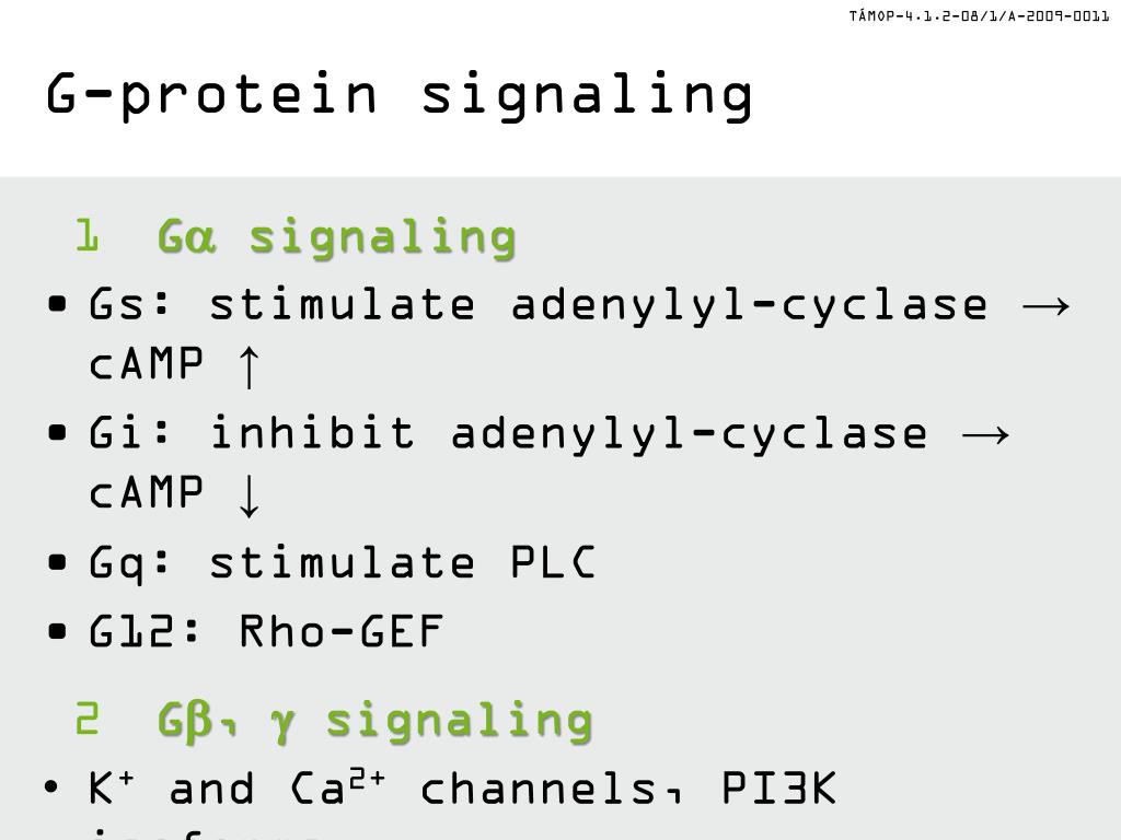 PPT - Extracellular receptors g-protein coupled receptors PowerPoint ...