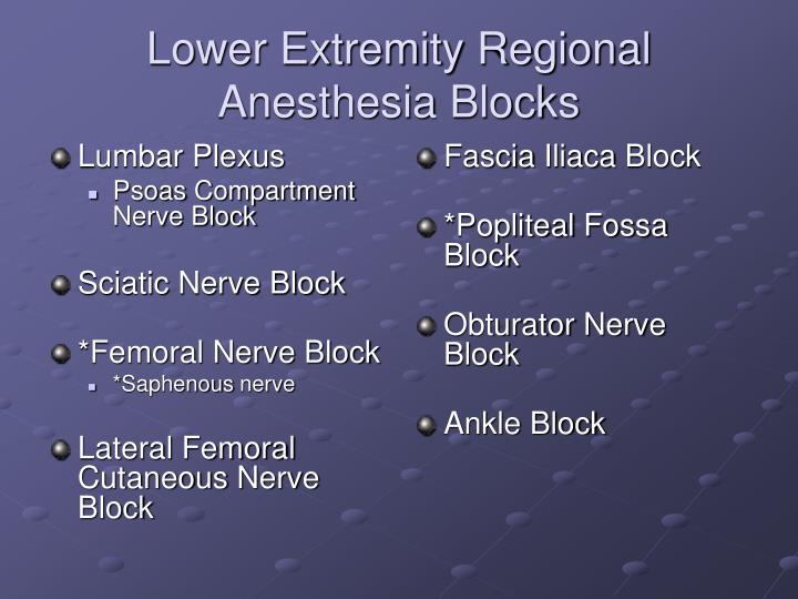 PPT - Lower Extremity and Trunk Ultrasound Guided Blocks PowerPoint ...