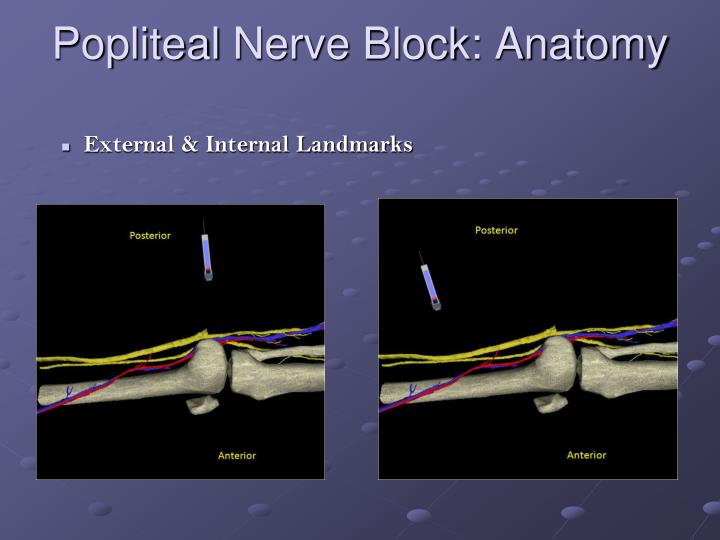PPT - Lower Extremity and Trunk Ultrasound Guided Blocks PowerPoint ...
