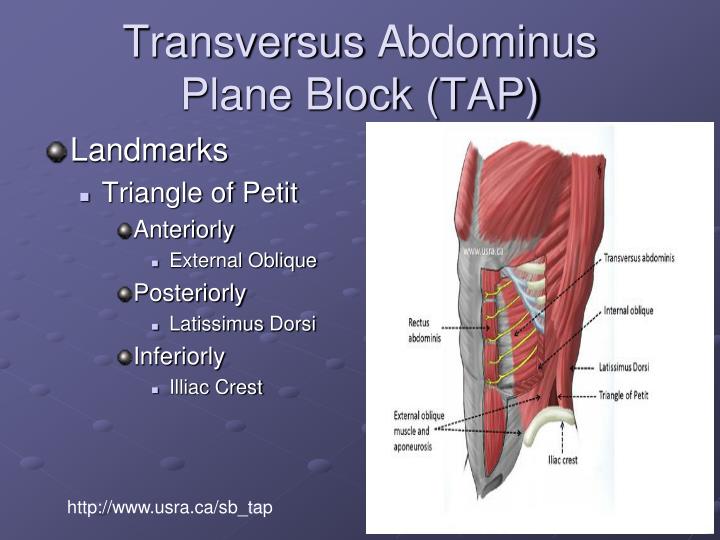 PPT - Lower Extremity and Trunk Ultrasound Guided Blocks PowerPoint ...