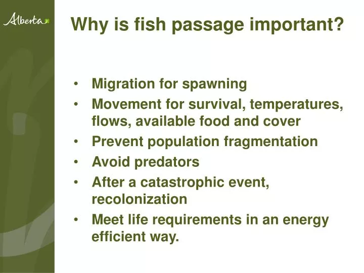 PPT - Why is fish passage important? PowerPoint Presentation, free ...