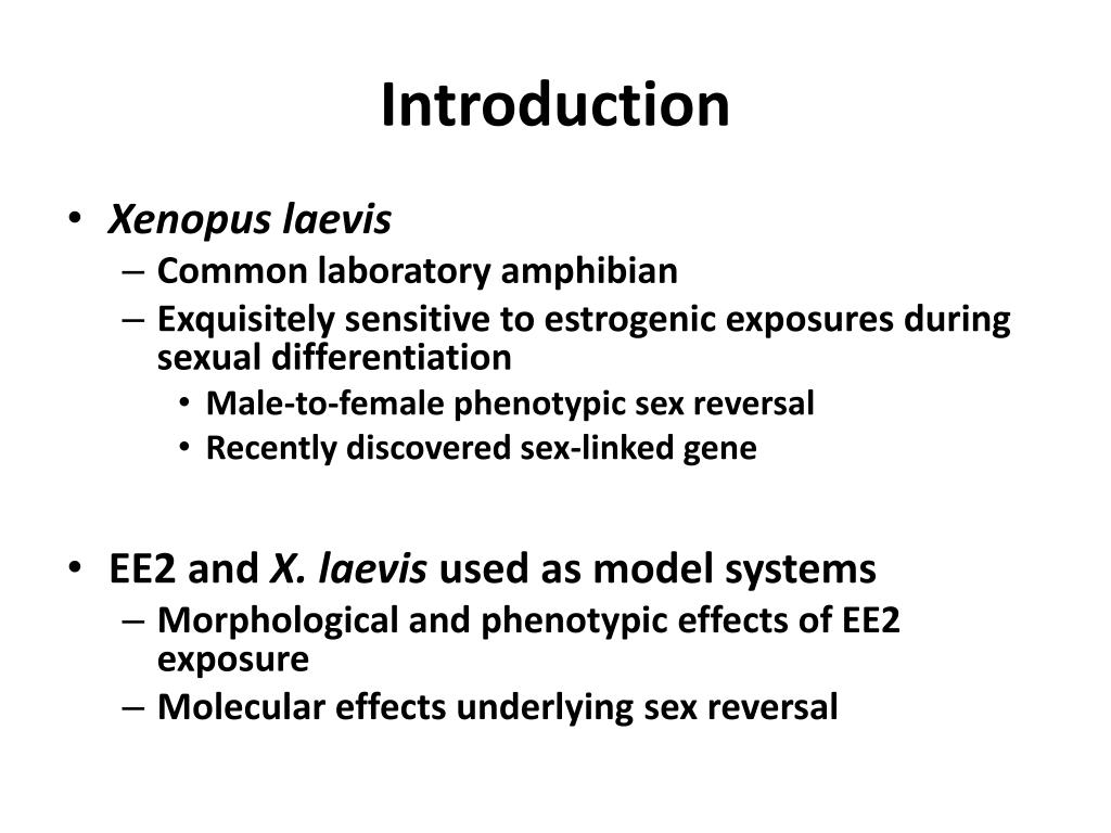PPT - Amber Tompsett , Steve Wiseman, Eric Higley , Hong Chang John P ...
