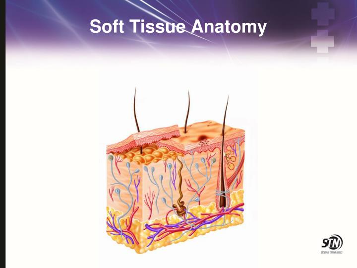 PPT - Soft Tissue Injuries PowerPoint Presentation - ID:2158515
