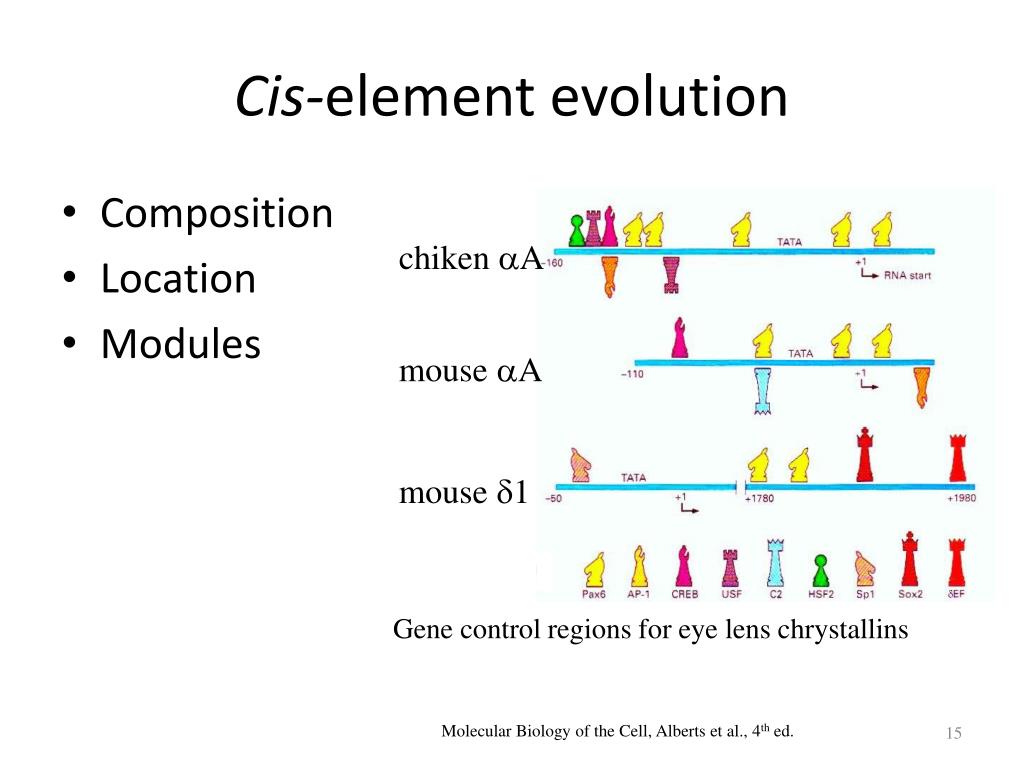 PPT - cis -regulatory element study in transcriptome PowerPoint ... PPT - cis -regulatory element study in transcriptome PowerPoint ...
