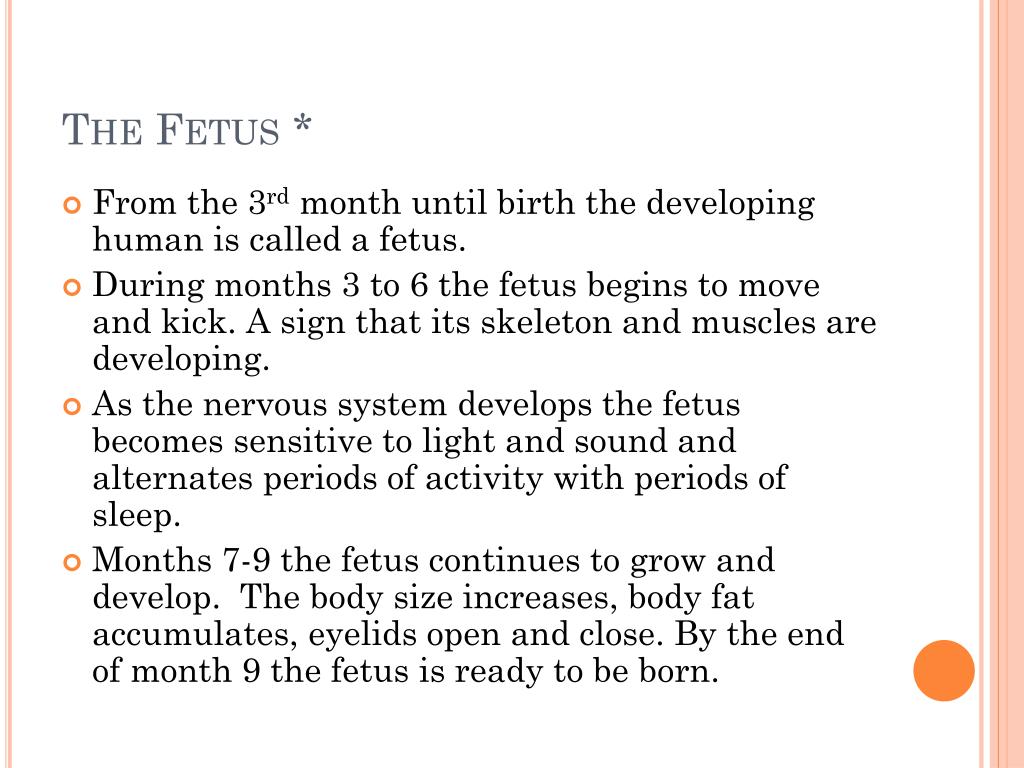 PPT - Pregnancy, Birth, and Childhood PowerPoint Presentation, free ...