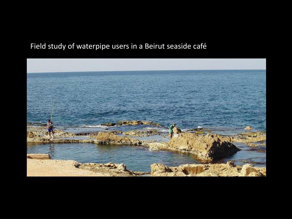 PPT - Waterpipe tobacco smoke toxicant exposure and effects Alan ...