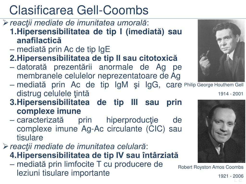 PPT - REACŢIILE DE HIPERSENSIBILITATE ( continuare ) PowerPoint ...