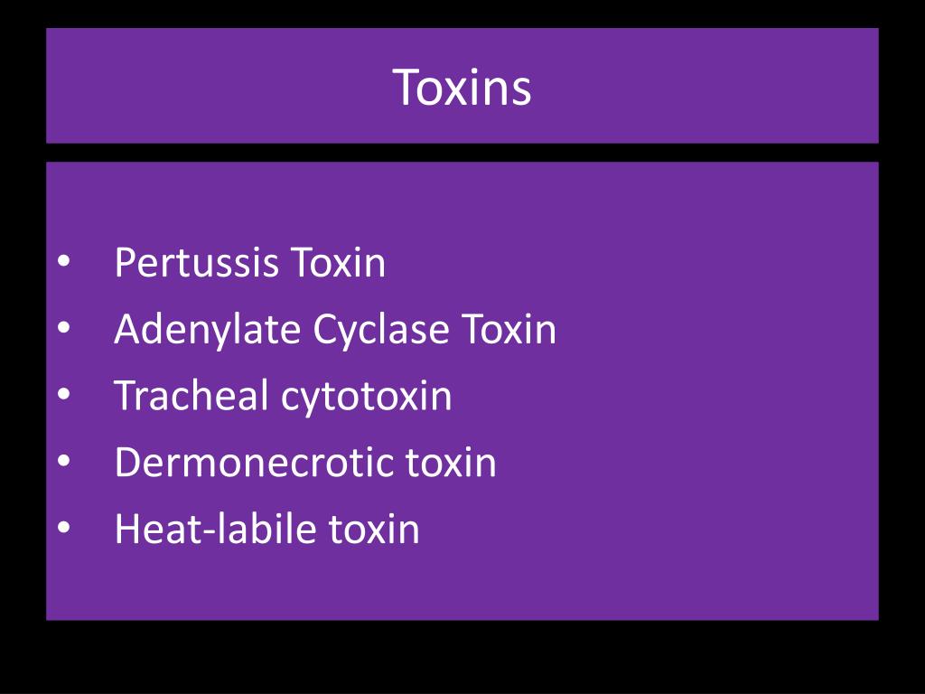 PPT - Aerobic, Gram negative coccobacillus Alcaligenaceae Family ...