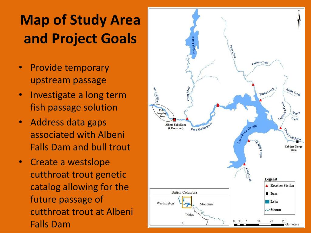 PPT - Temporary Restoration of Bull Trout Passage at Albeni Falls Dam ...