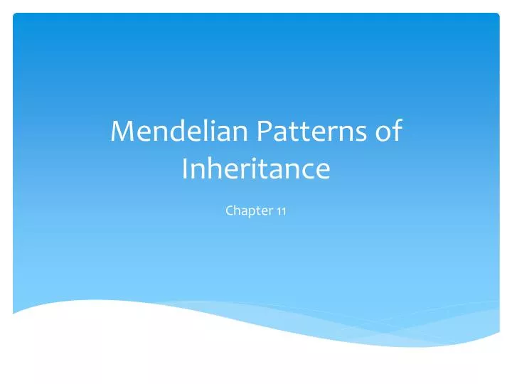 PPT - Mendelian Patterns of Inheritance PowerPoint Presentation, free ...