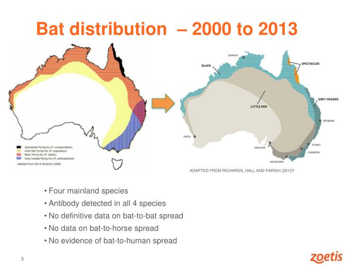 PPT - Hendra virus and the Hendra virus vaccine PowerPoint Presentation ...