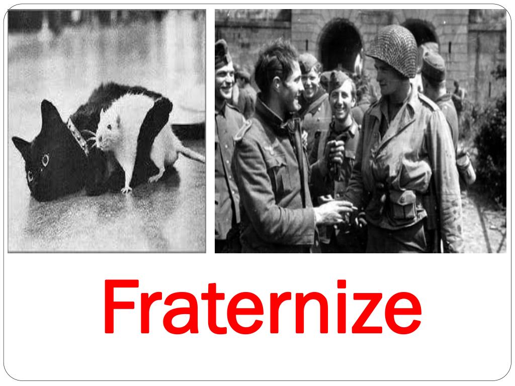 PPT - Vocabulary Week 1 2 Gold Wordwall PowerPoint Presentation, free ...