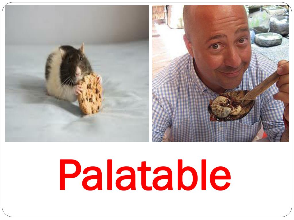 PPT - Vocabulary Week 1 2 Gold Wordwall PowerPoint Presentation, free ...
