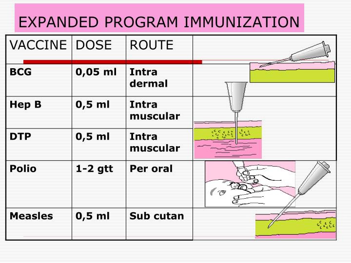 PPT - Immunization and Vaccine Preventable Diseases PowerPoint ...