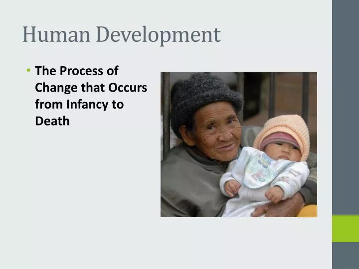 PPT - Human Development PowerPoint Presentation, free download - ID:2160371