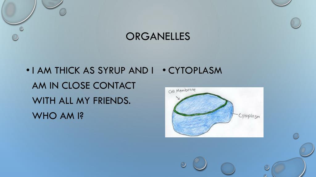 PPT - Organelles – Who am I? PowerPoint Presentation, free download ...