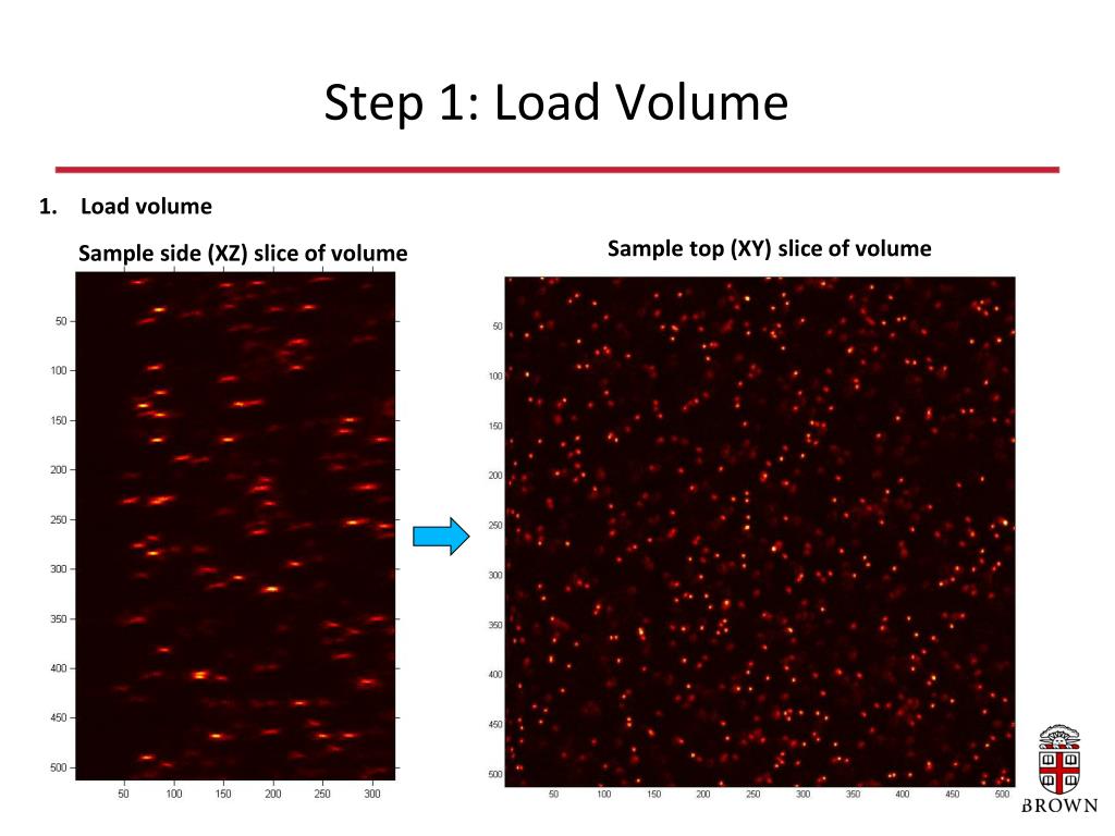 PPT - Eyal Bar- Kochba ENGN2500: Medical Imaging Professor Kimia ...