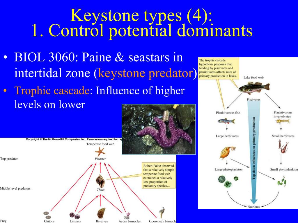 PPT - Society for Conservation Biology PowerPoint Presentation, free ...