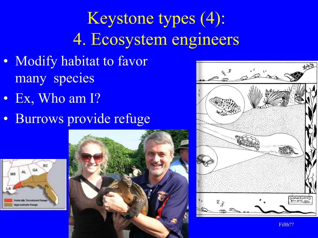 PPT - Society for Conservation Biology PowerPoint Presentation, free ...