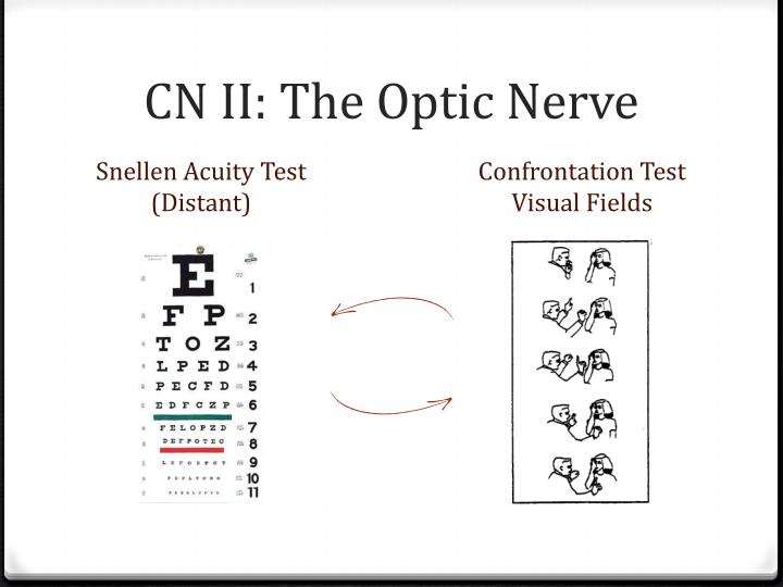 PPT - Neurological Assessment PowerPoint Presentation - ID:2161668