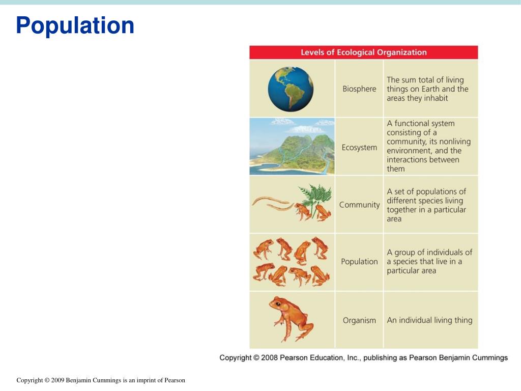 Ppt Population Biology Concepts Powerpoint Presentation Free