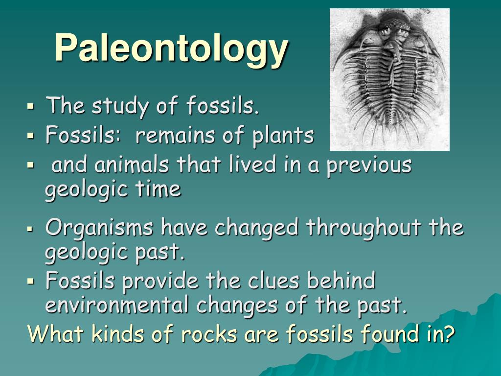Ppt The History Of Earth Powerpoint Presentation Free Download Id