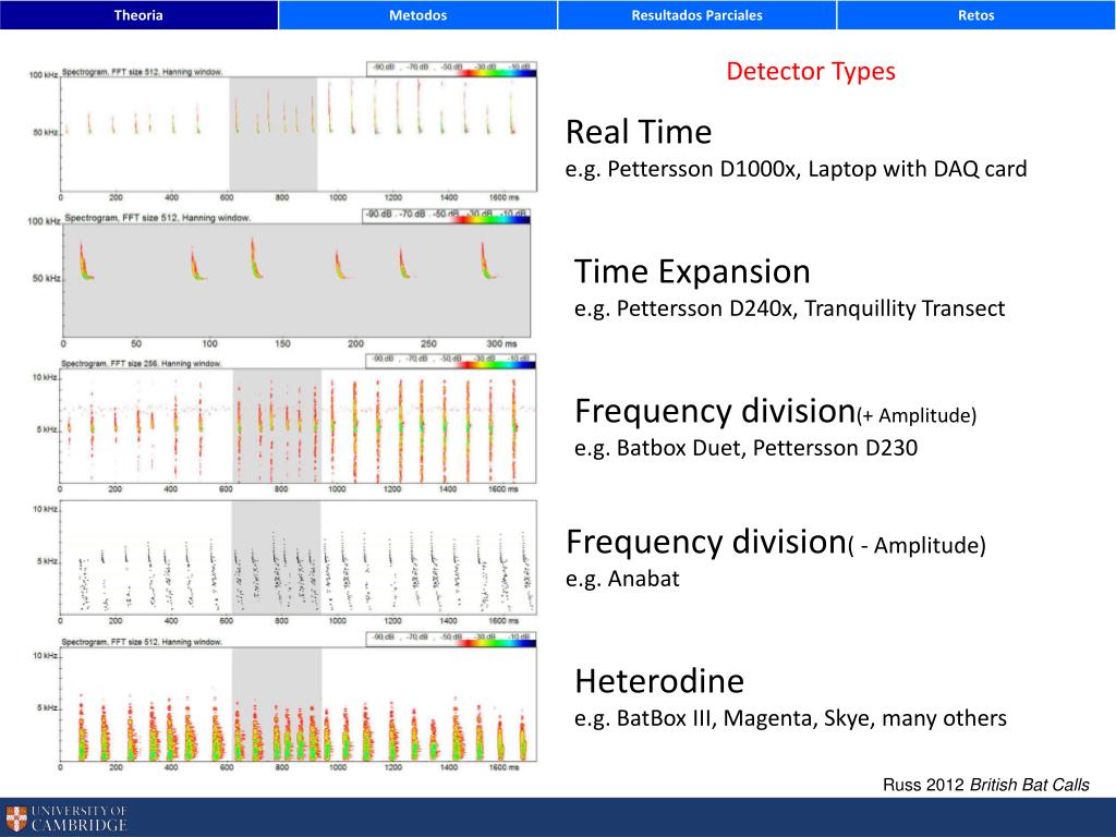 PPT - Acoustic Identification of Mexican bats PowerPoint Presentation ... PPT - Acoustic Identification of Mexican bats PowerPoint Presentation ...