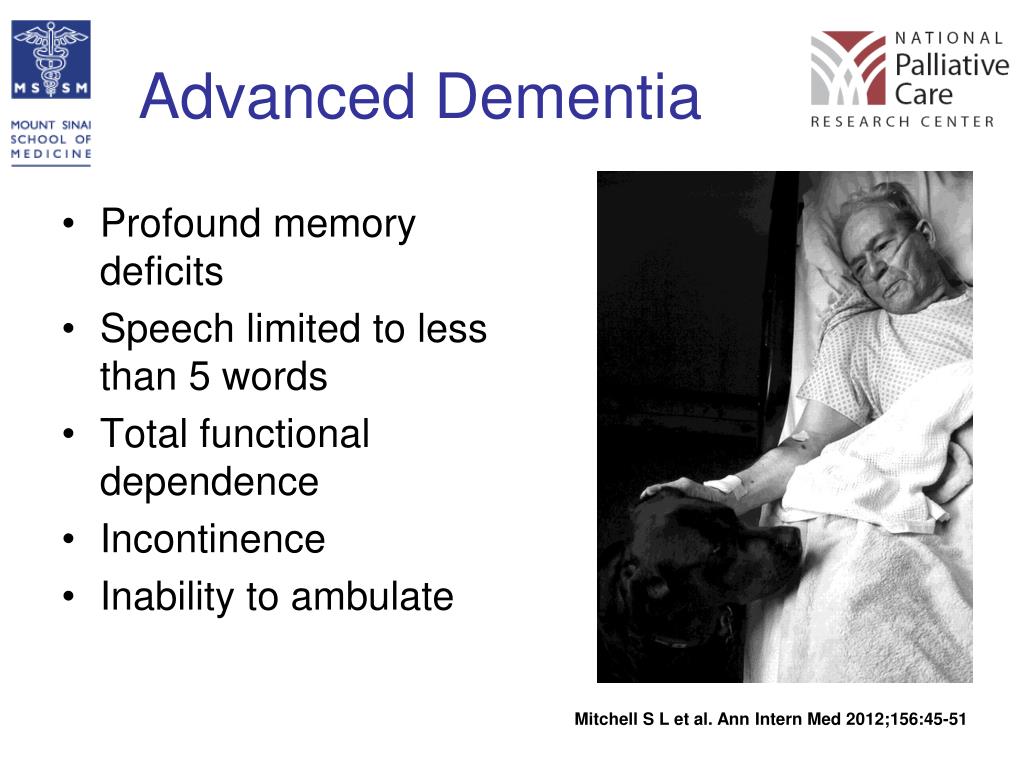 PPT - Suffering in Silence: Improving Care for Persons with Dementia ...